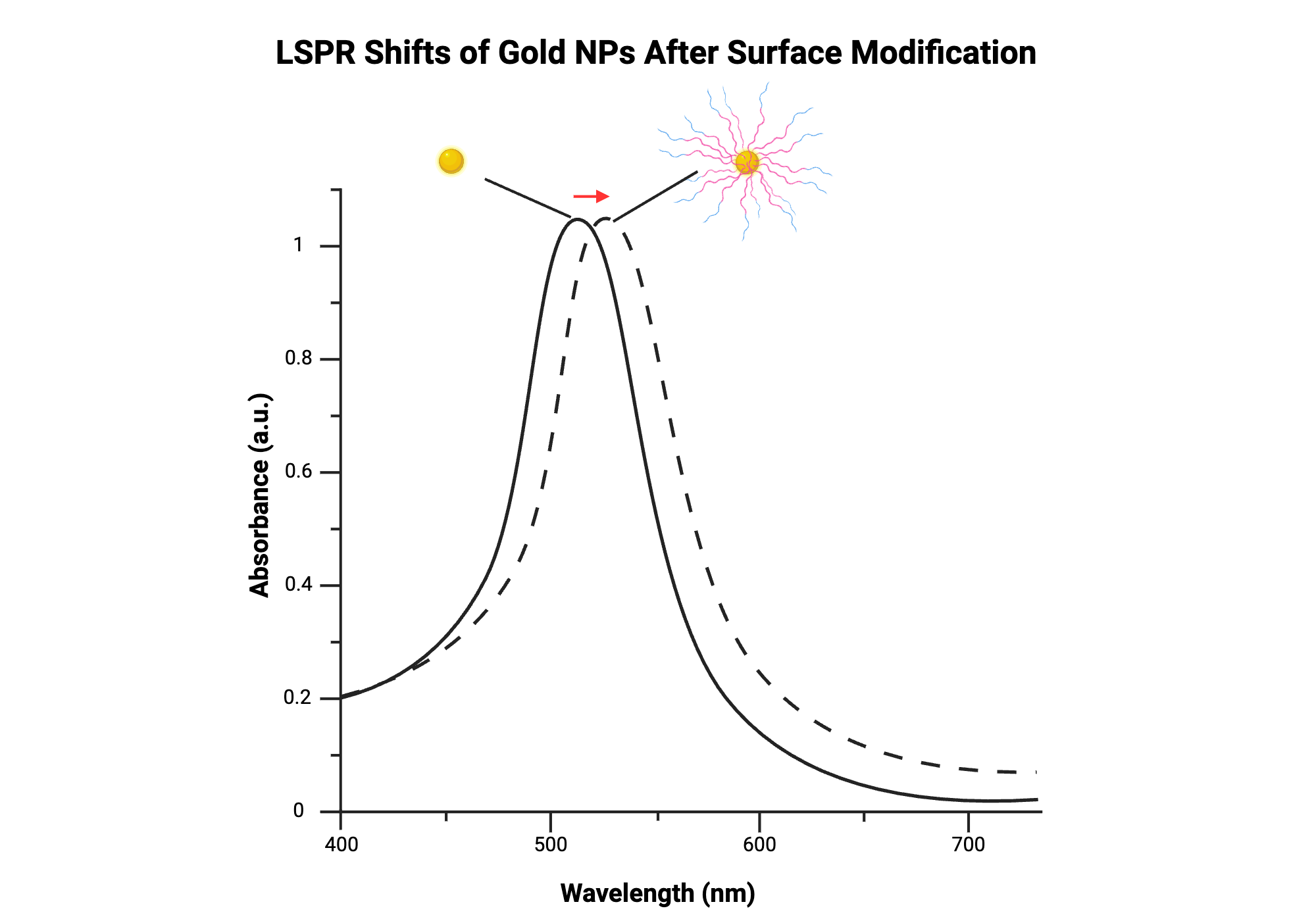 Lspr Shifts Of Gold Nanoparticles After Surface Modification