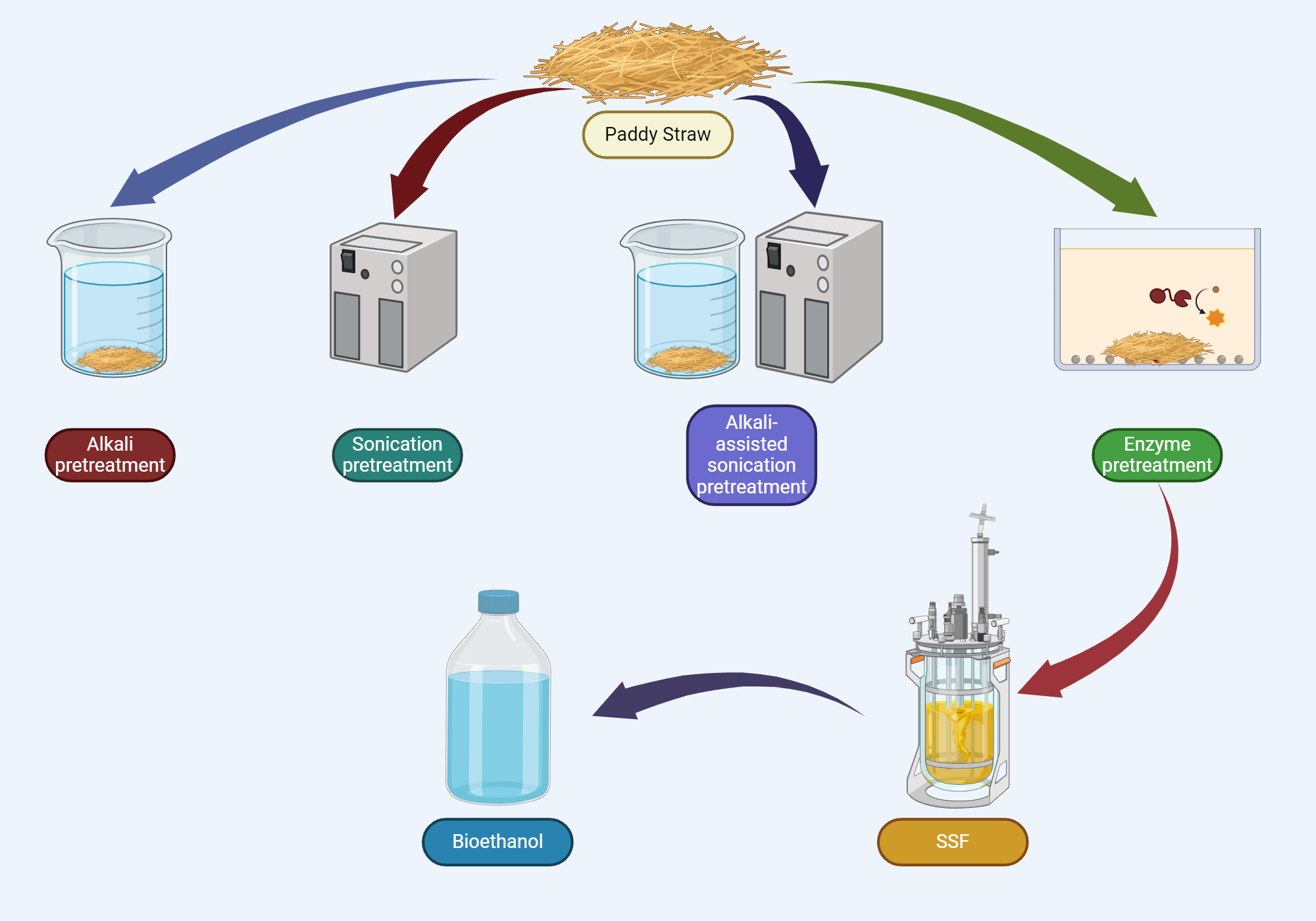Bioethanol production using paddy straw | BioRender Science Templates