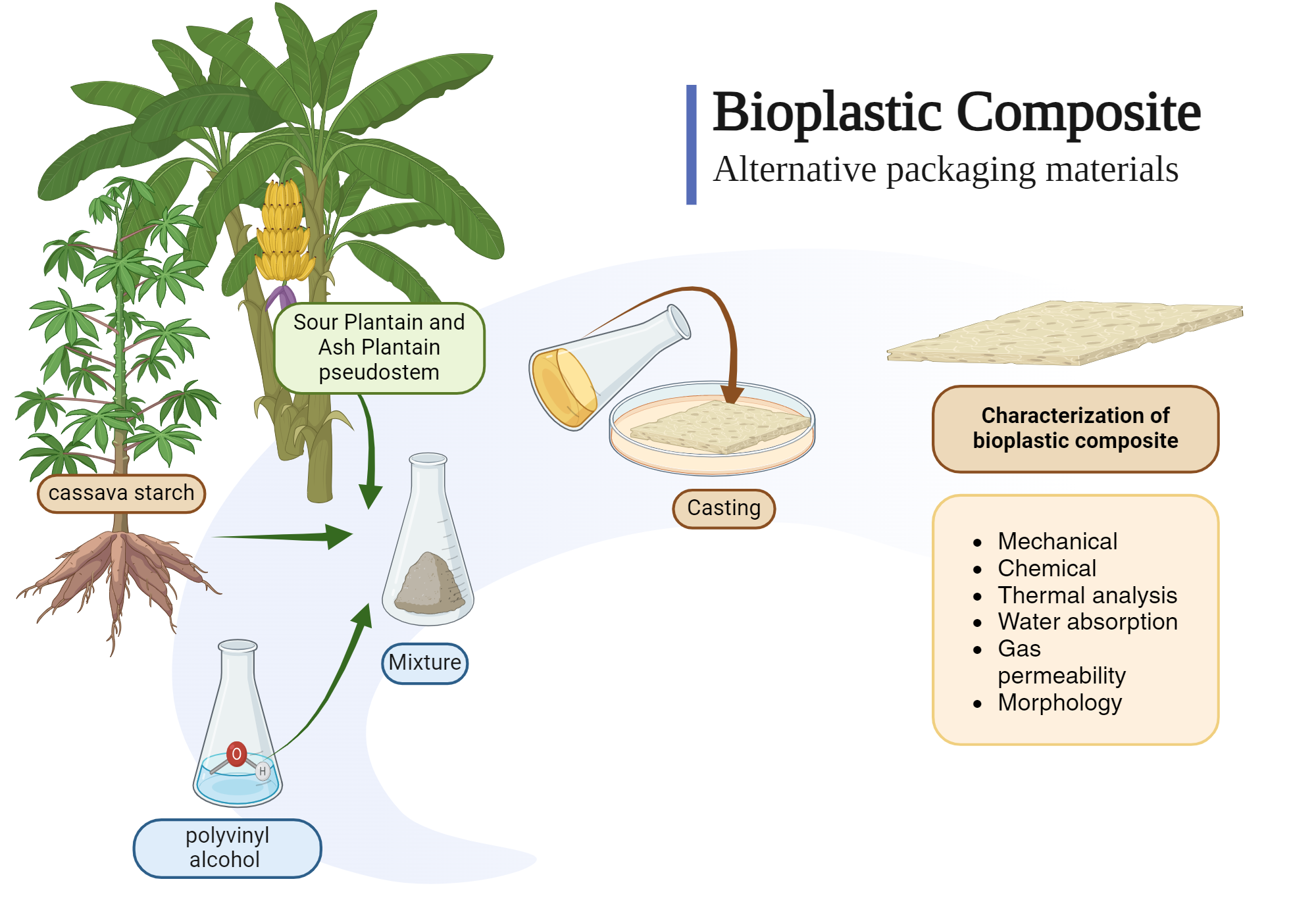 Development and characterization of biocomposite films | BioRender ...