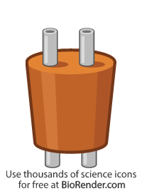 Free Stopper (conduits) Icons, Symbols & Images | BioRender