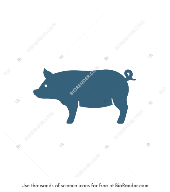 Free Pig (symbol) Icons, Symbols & Images | BioRender