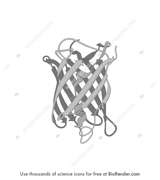 Free Split fluorescent protein 1-10 Icons, Symbols & Images | BioRender