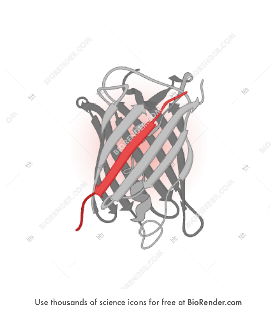 Free Split fluorescent protein Icons, Symbols & Images | BioRender