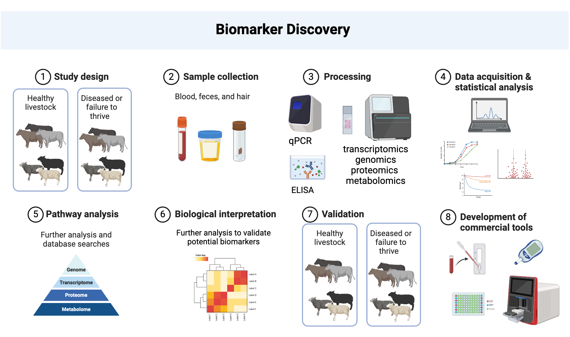 Biomarker Discovery Biorender Science Templates