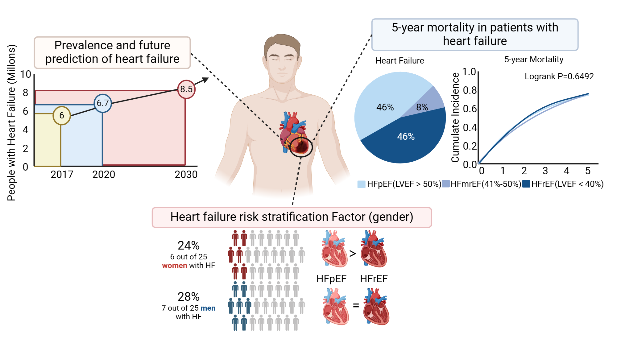 Epidemiology of heart failure | BioRender Science Templates