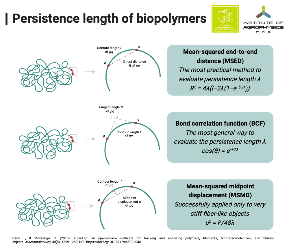 Determination of the persistence length of biopolymers | BioRender ...