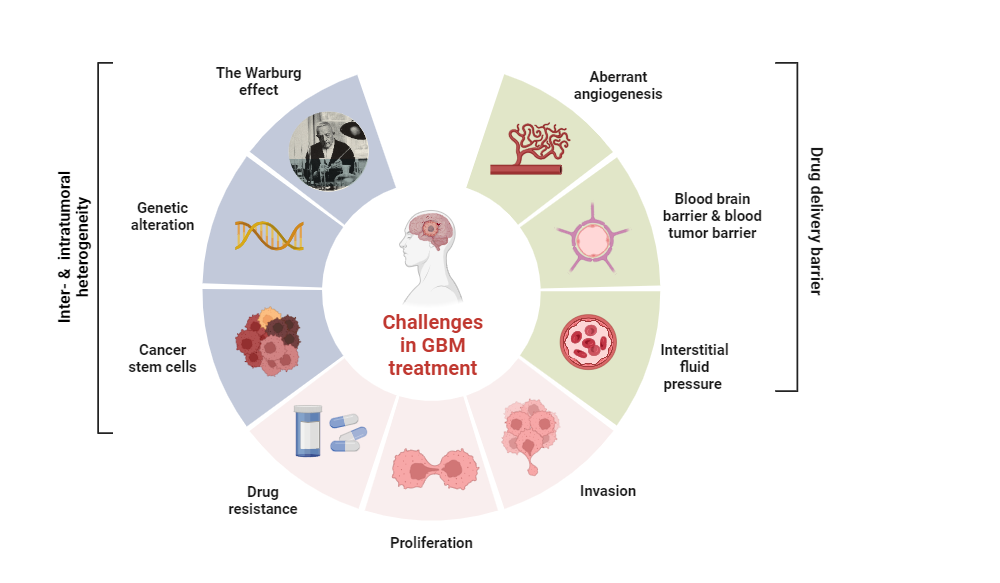 Challenges in GBM treatment | BioRender Science Templates