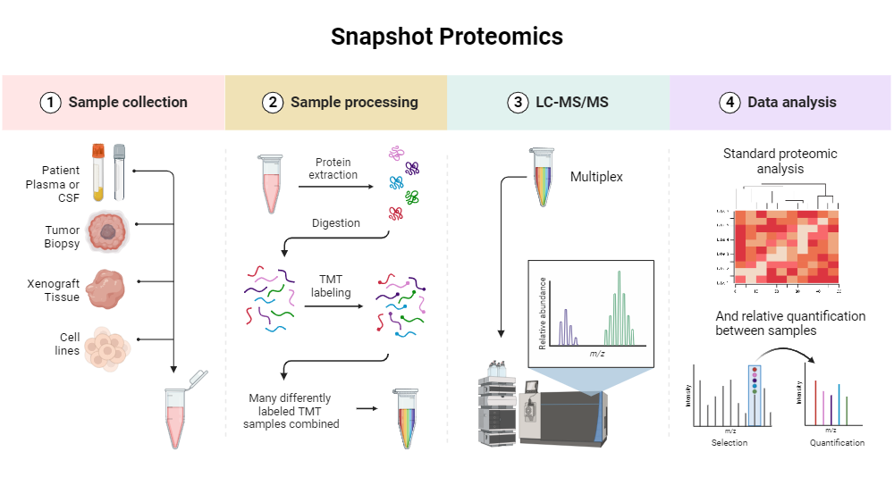 Snapshot Proteomics | BioRender Science Templates