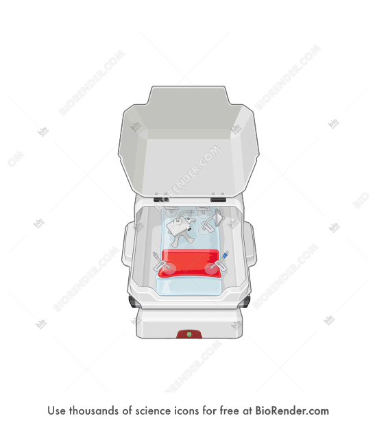 Free Cell expansion system (Xuri W25 base unit, with small bag and ...