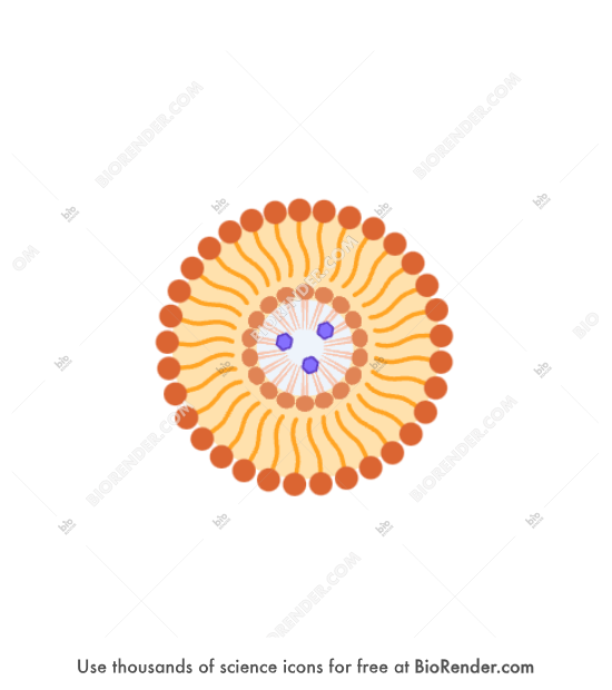 Free Polymeric micelle Icons, Symbols & Images | BioRender