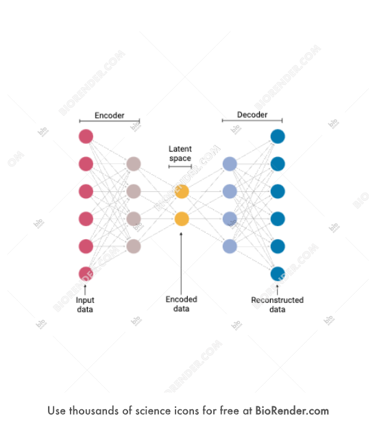 Free Autophagy icon (on circle) Icons, Symbols & Images | BioRender