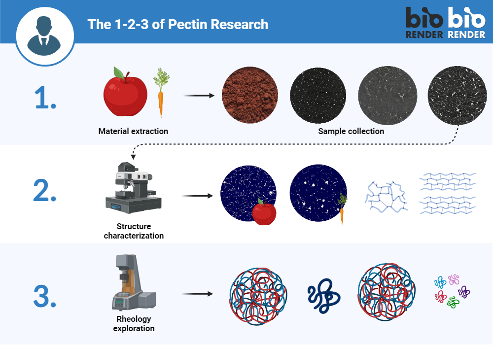 Graphical Abstract Idea -Pectin-Related | BioRender Science Templates