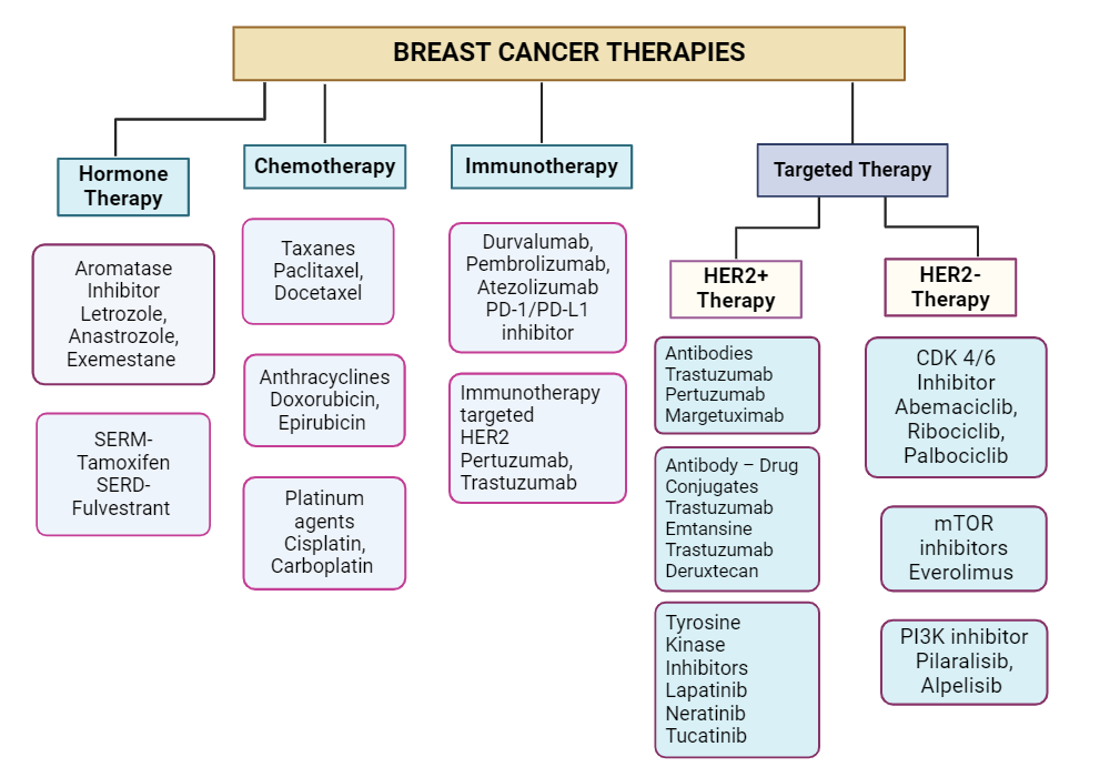 Breast cancer therapies | BioRender Science Templates