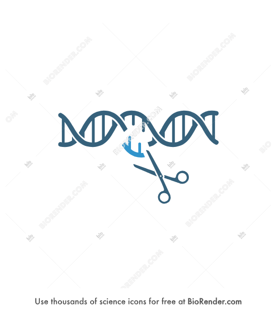 Free DNA (symbol) Icons, Symbols & Images | BioRender