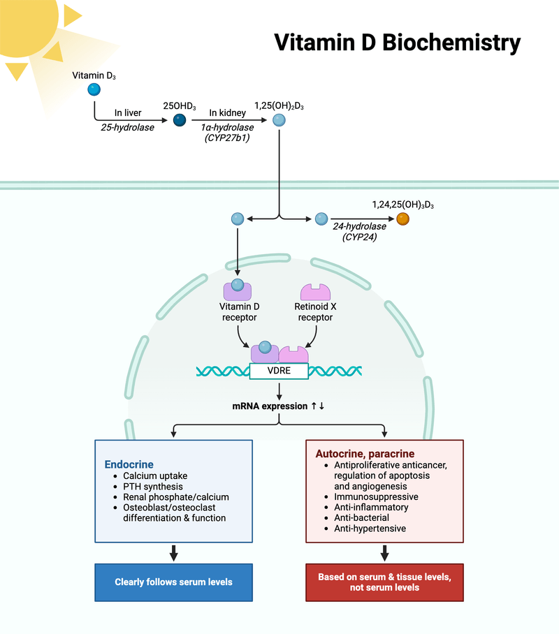 Make scientific figures in minutes using existing templates.