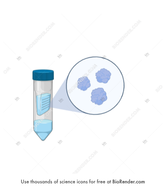 Free Protein complex (with PLA probes, connector DNA, ligase) Icons ...