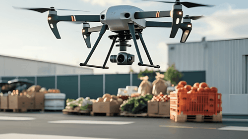 Walmart's Drone Delivery and Future of Retail