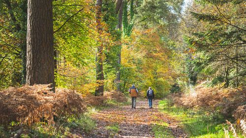 Celebrating 50 years of the Wye Valley Walk’