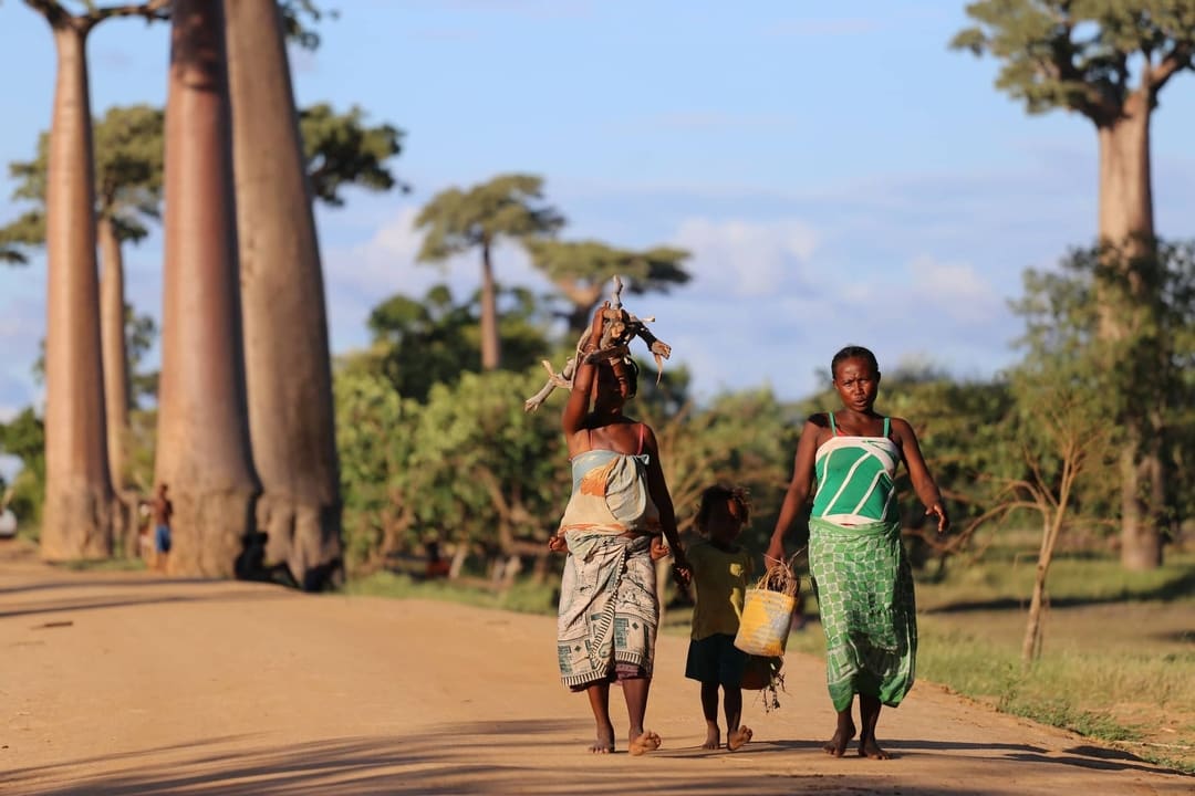 Building Stronger Teams in Uganda - Blog