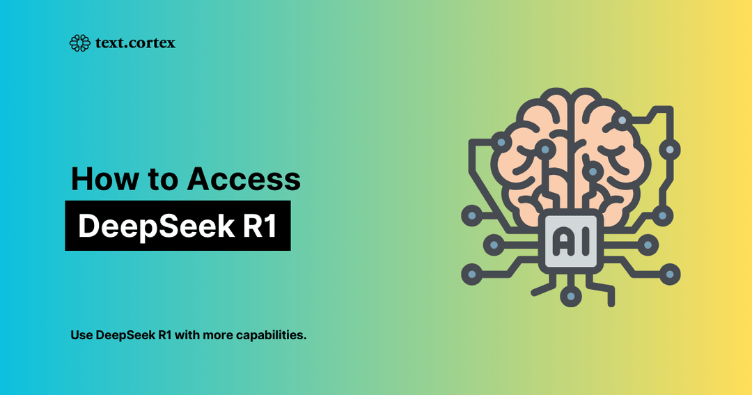 How to Access DeepSeek?