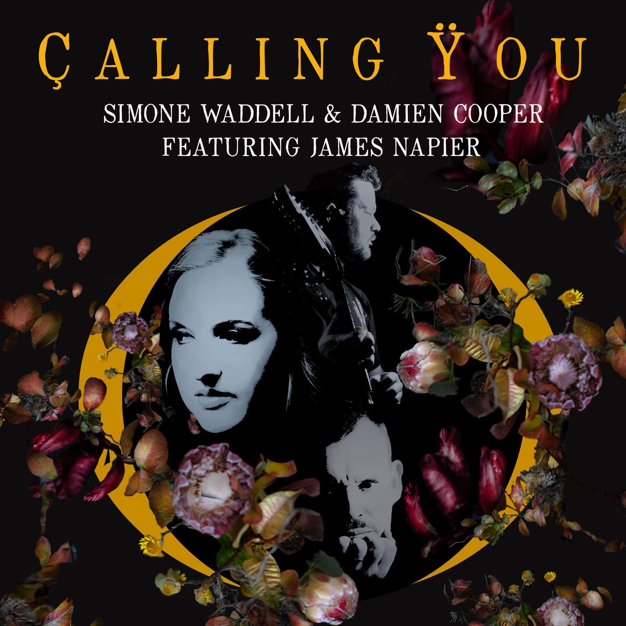 Simone Waddell