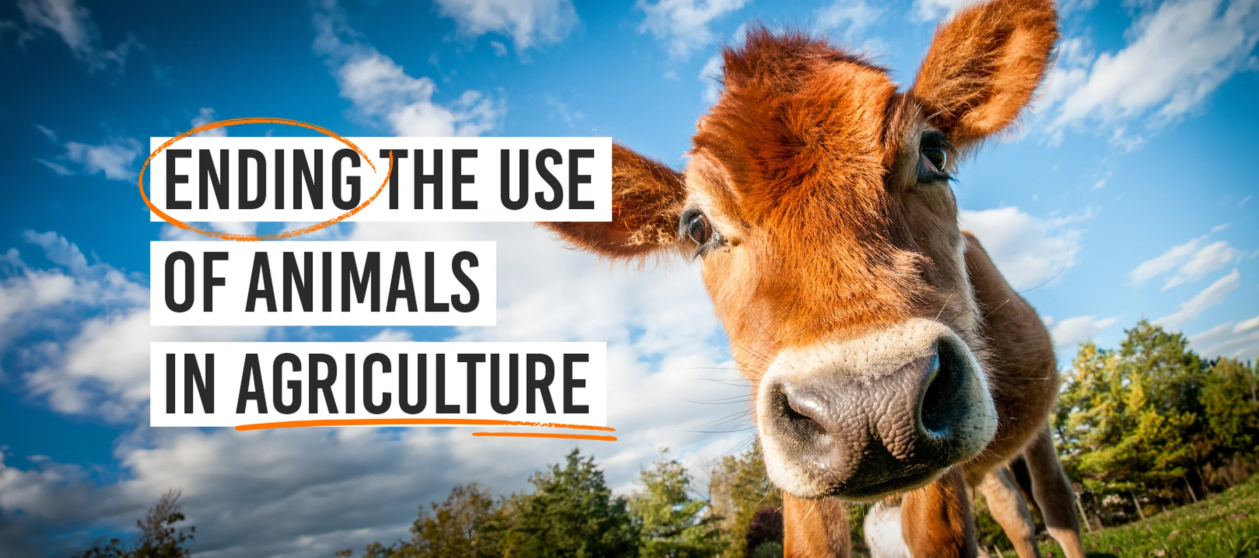Ending the use of animals in agriculture
