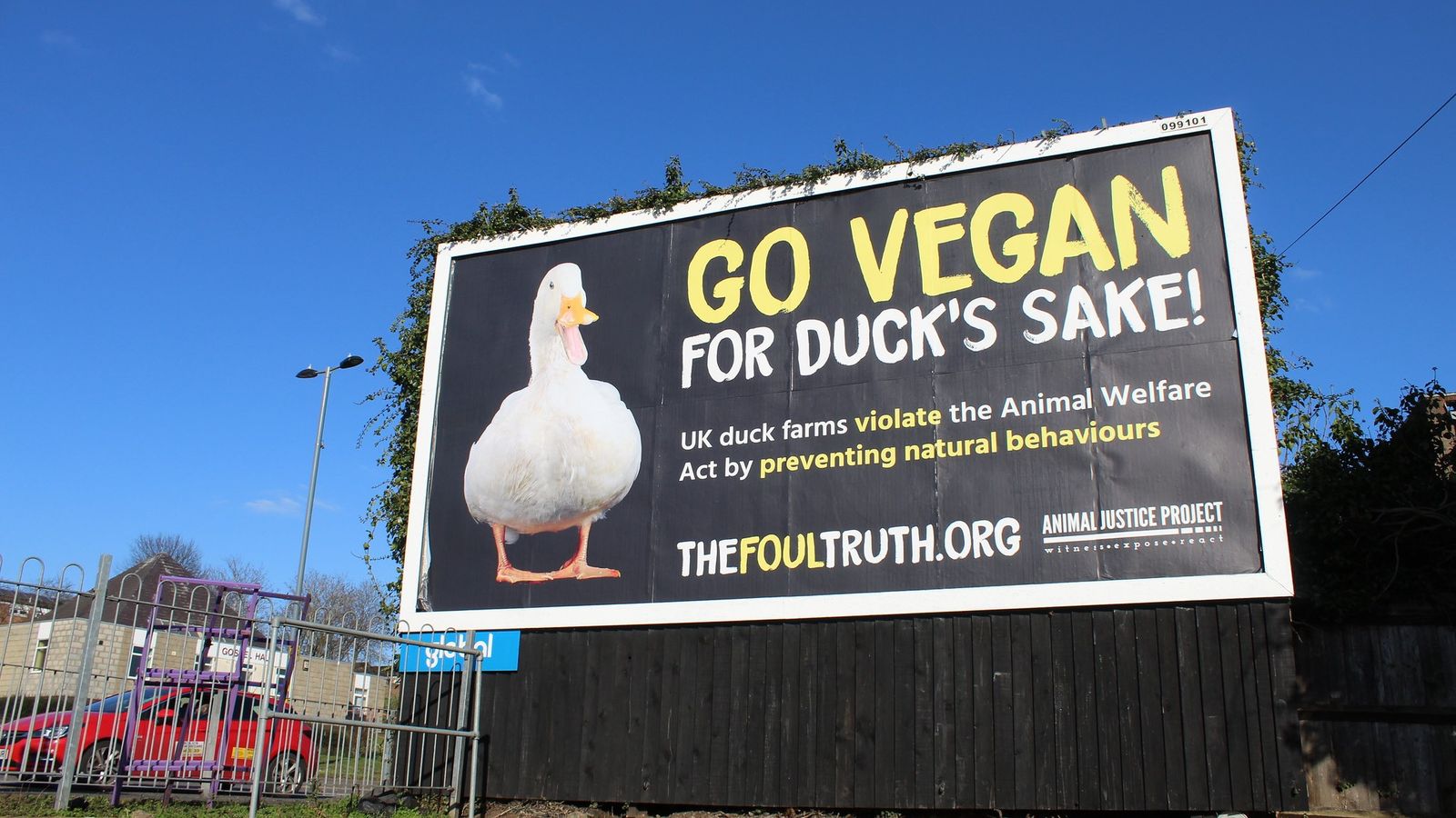 Horrific conditions at ‘high-welfare’ farms supplying Marks and Spencer ...
