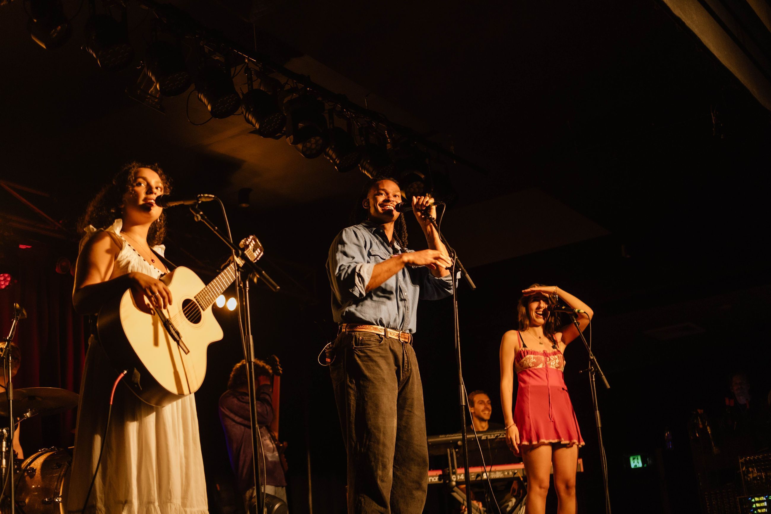 Tiny Habits' Secret is Hidden in Their Harmonies