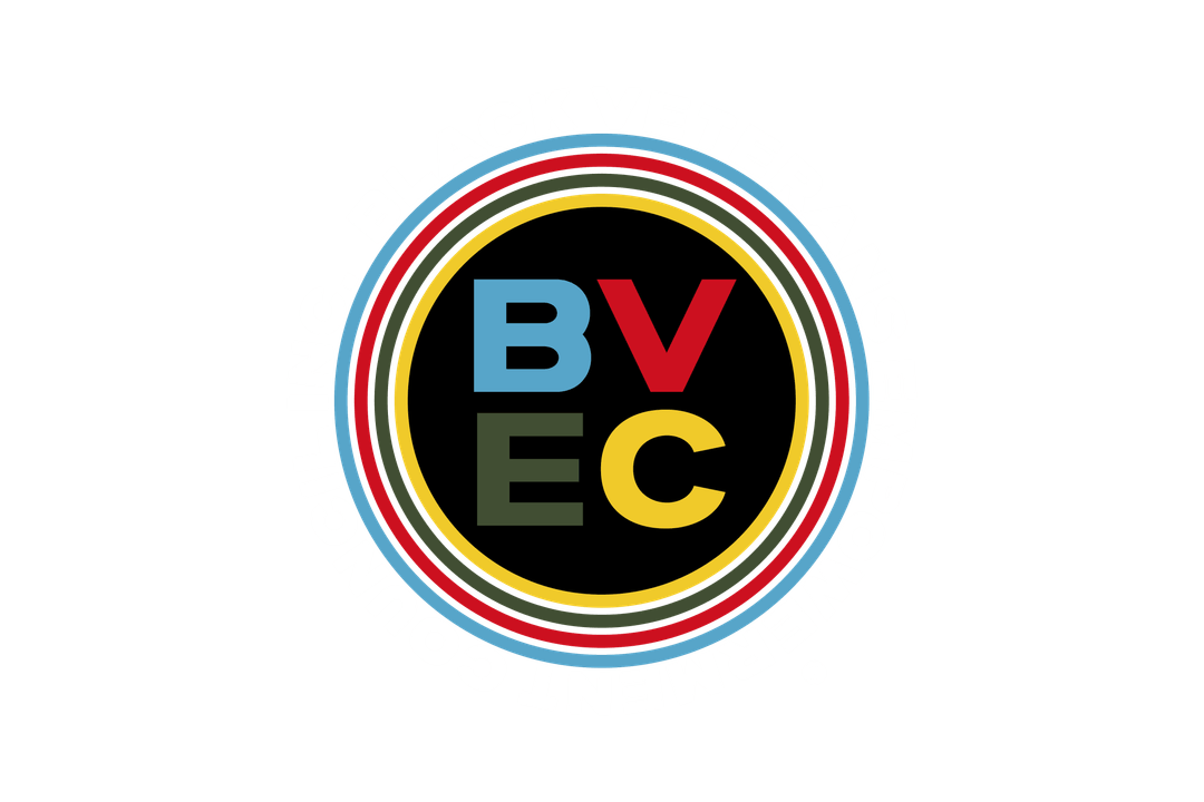 Black Veterans Empowerment Council