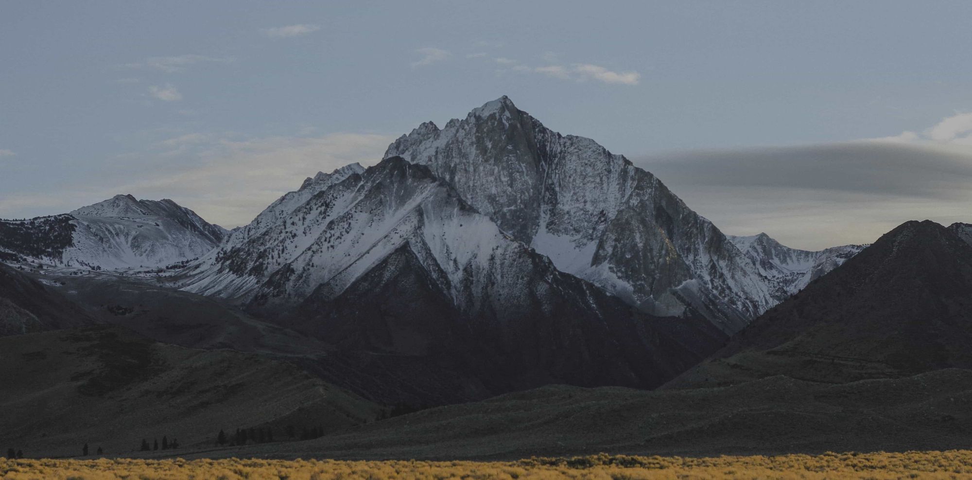 How To Find A Background Script That You Previously Ran (And Lost ...