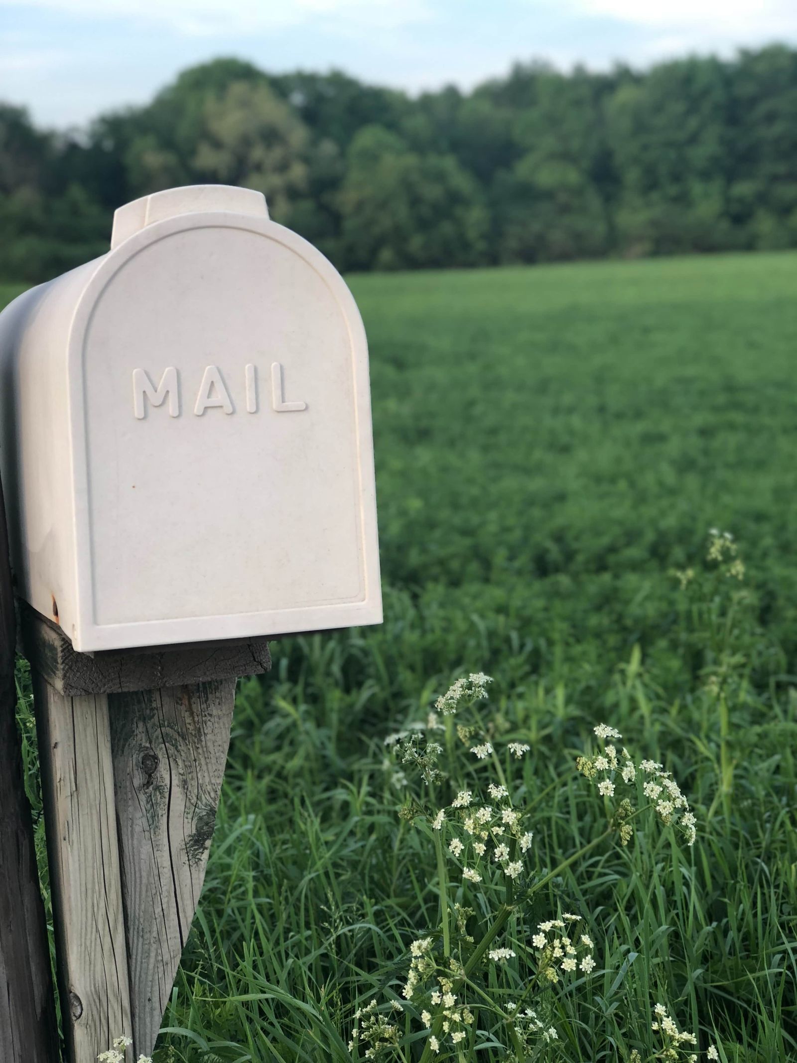 How To Write A Mail Script In ServiceNow | Snowycode