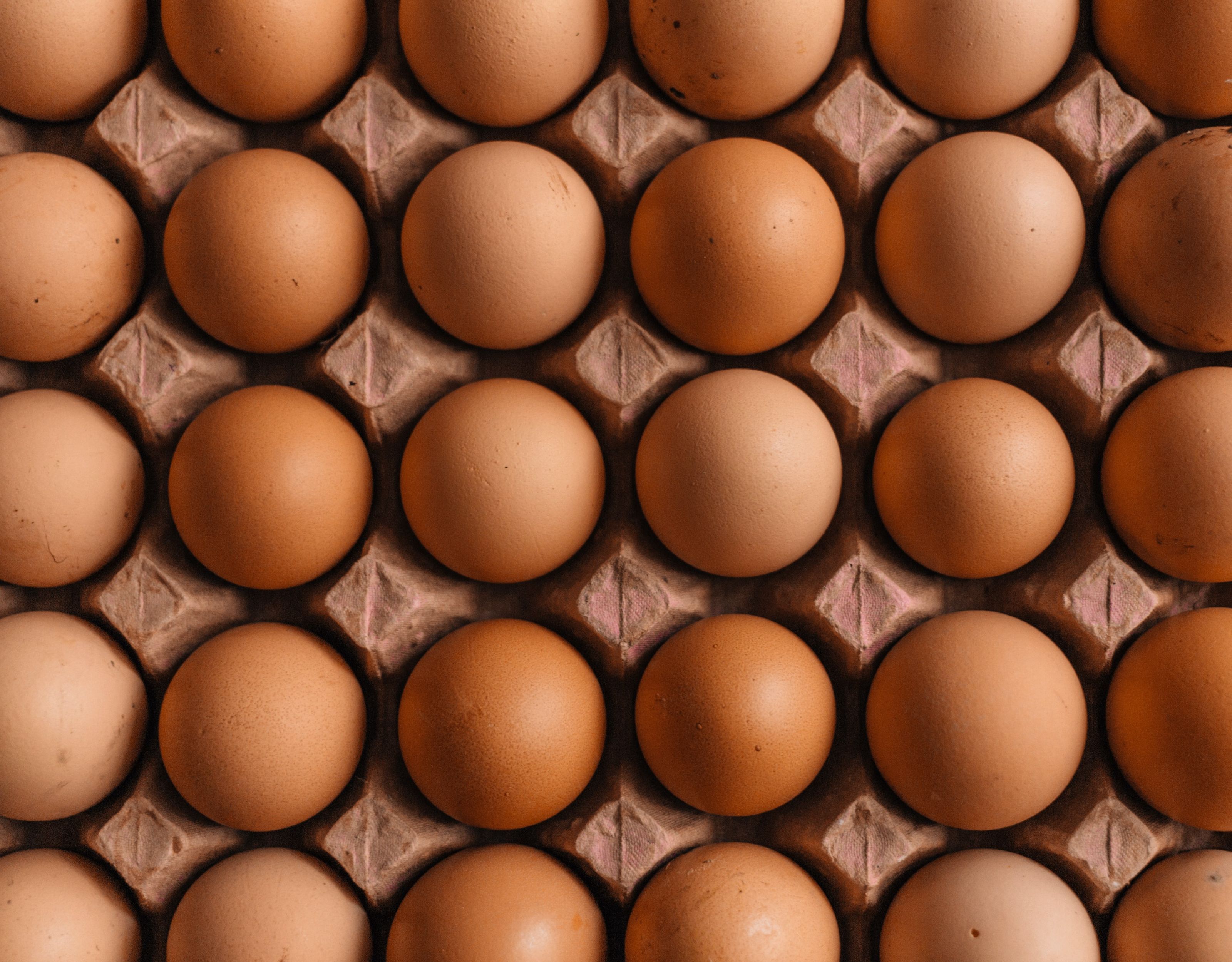Can people with CKD eat eggs? | Kidney Ally