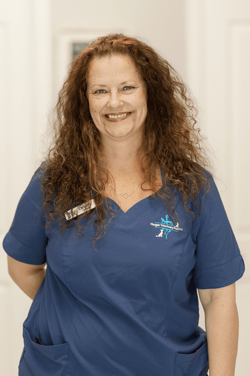 Meet Our Doctor | Dr. Katie Morgan