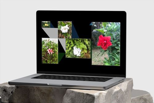 How to make a photo collage in PowerPoint - Plus