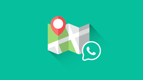 5 Simple Steps to Share Location on WhatsApp | Cooby