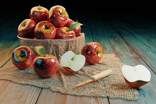 Blender for Beginners | CG Boost