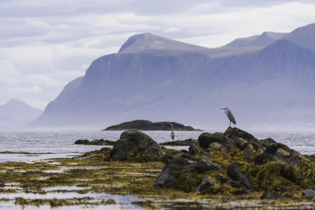 Experience Runde - Book experiences and activities at Runde