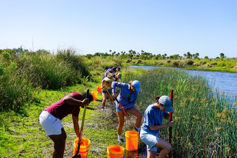 80 Community Service Ideas for Nonprofits and Individuals | Anedot