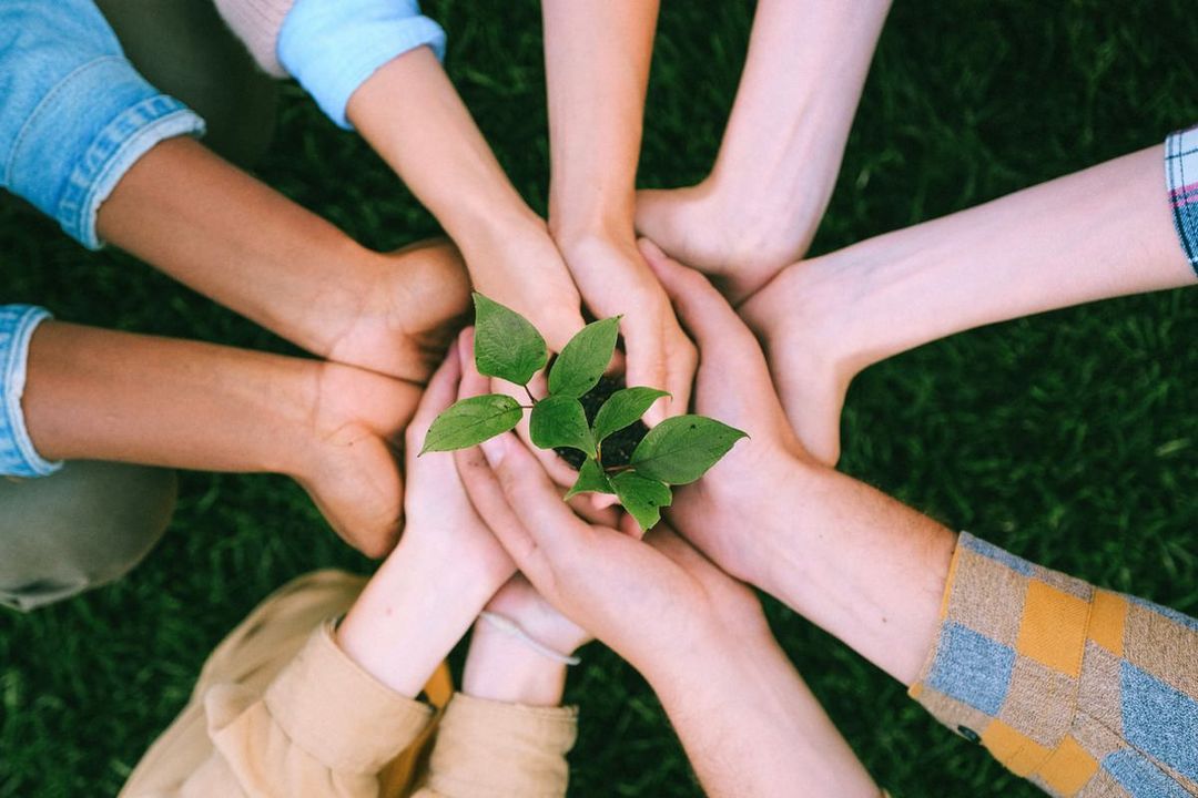 Volunteerism: A Guide for Nonprofit Leaders | Anedot