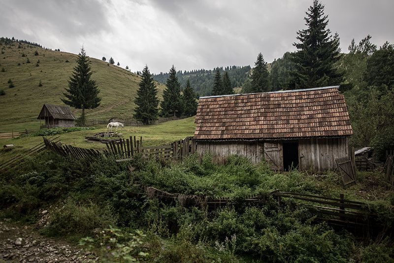 Fecske Csaba | A szívről (versek) | Helikon