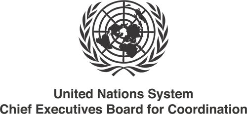 UN Innovation Network