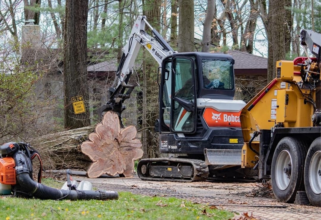The Tree Connection | Tree Services | Coatesville PA