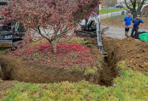 The Tree Connection | Tree Services | Coatesville PA