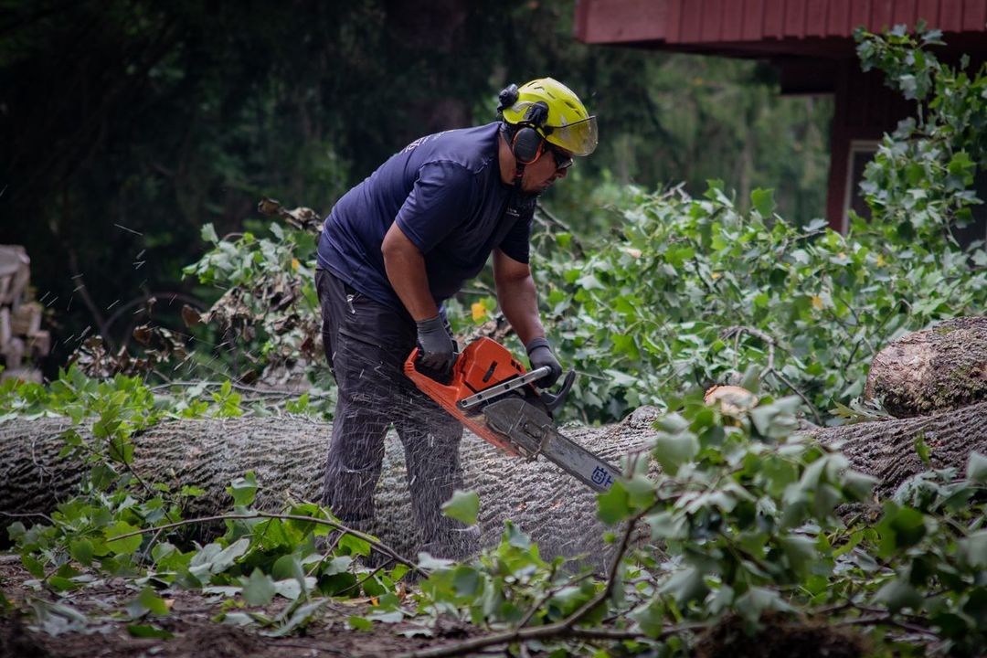 The Tree Connection | Tree Services | Coatesville PA