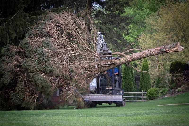 The Tree Connection | Tree Services | Coatesville PA
