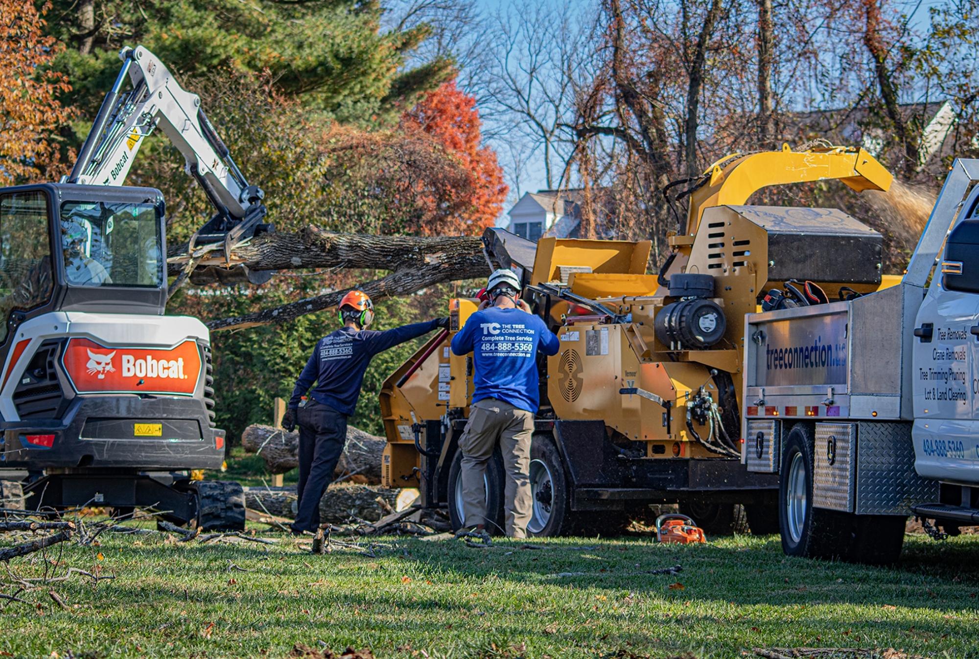 The Tree Connection | Tree Services | Coatesville PA