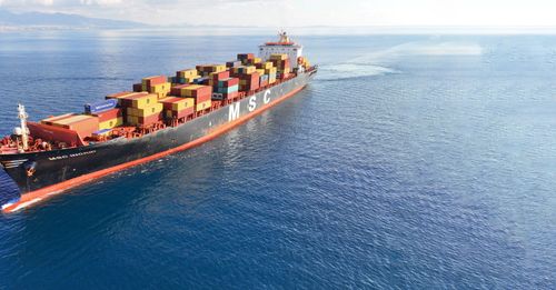 MSC Container Tracking: What Shippers Need to Know | Vizion Blog | VIZION