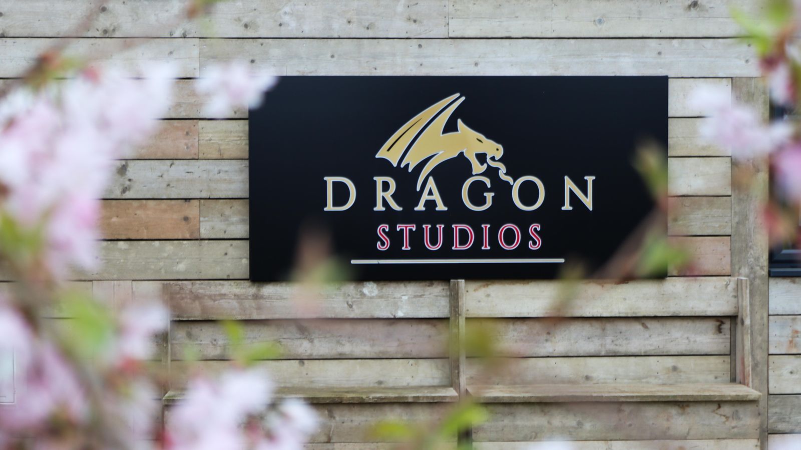 About Us | Dragon Studios