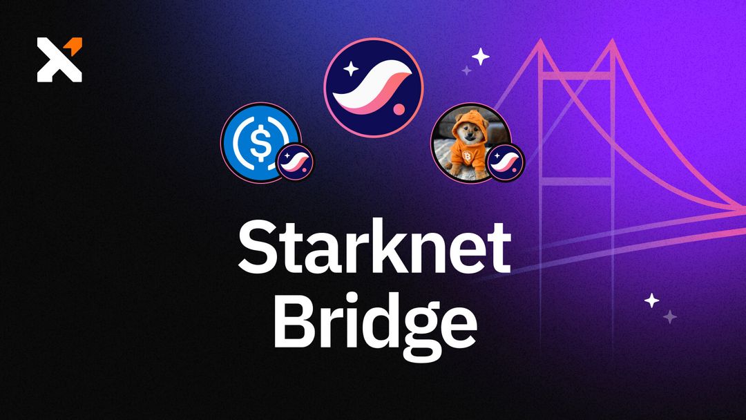 What Is Starknet? A Complete Guide