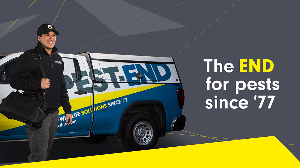 Pest-End | Pest & Wildlife Control In MA, NH, ME, VT, & RI
